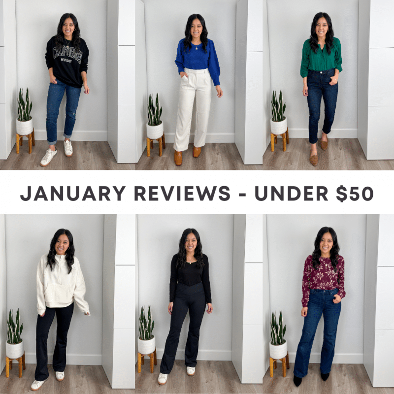 REVIEWS: Recent Try-Ons for January Under $50!